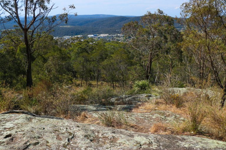 Things to do in the Southern Highlands for the Perfect Getaway