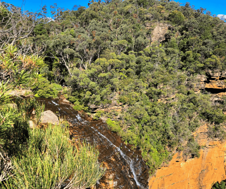 The Best Waterfalls In Sydney - Emma Jane Explores
