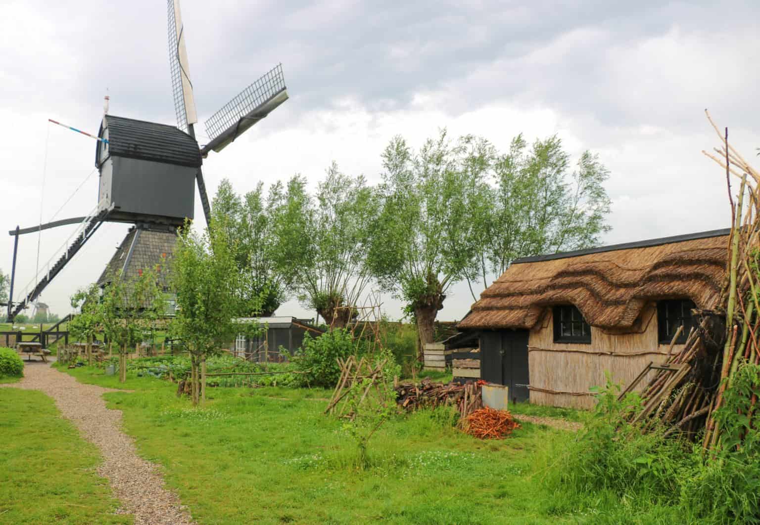 From Rotterdam to Kinderdijk - a guide to visiting real Dutch windmills