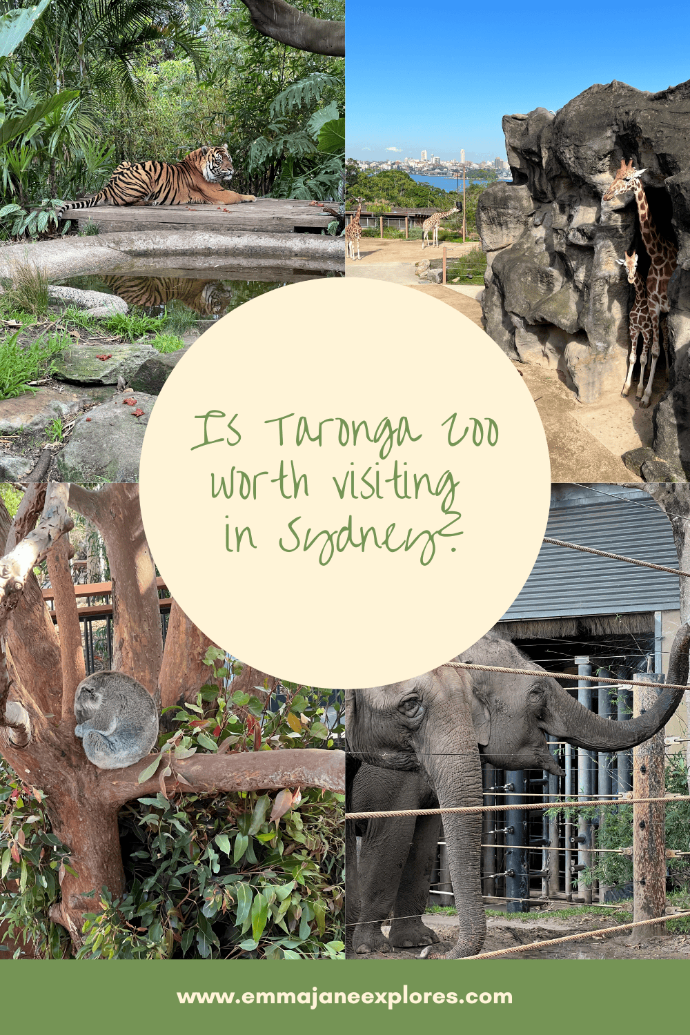 Is Taronga Zoo worth visiting in Sydney? - Emma Jane Explores