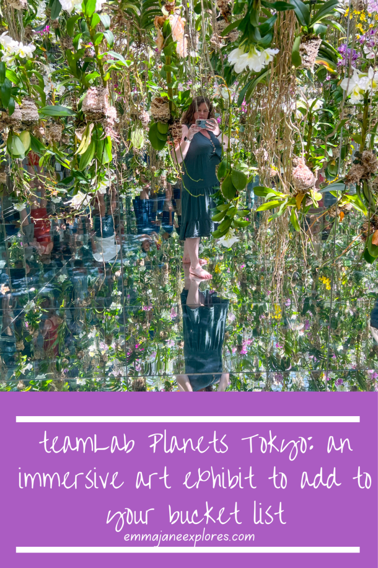 Visiting teamLab Planets with Kids - Emma Jane Explores